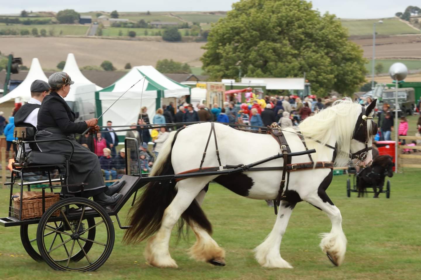 Gallery - Penistone Agricultural Show