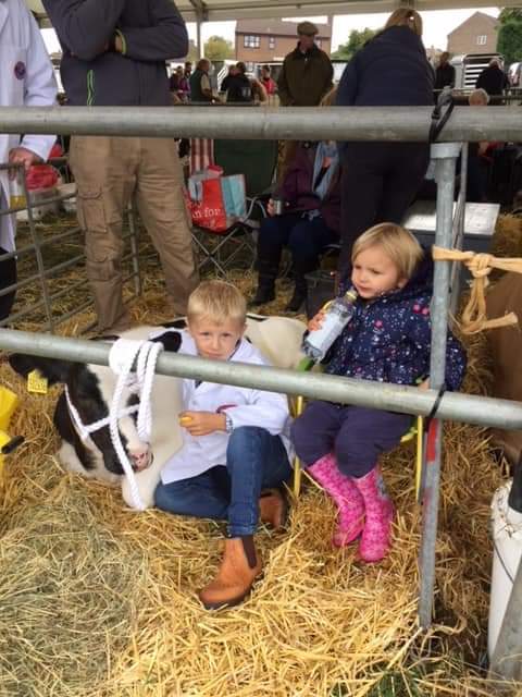 Gallery – Penistone Agricultural Show