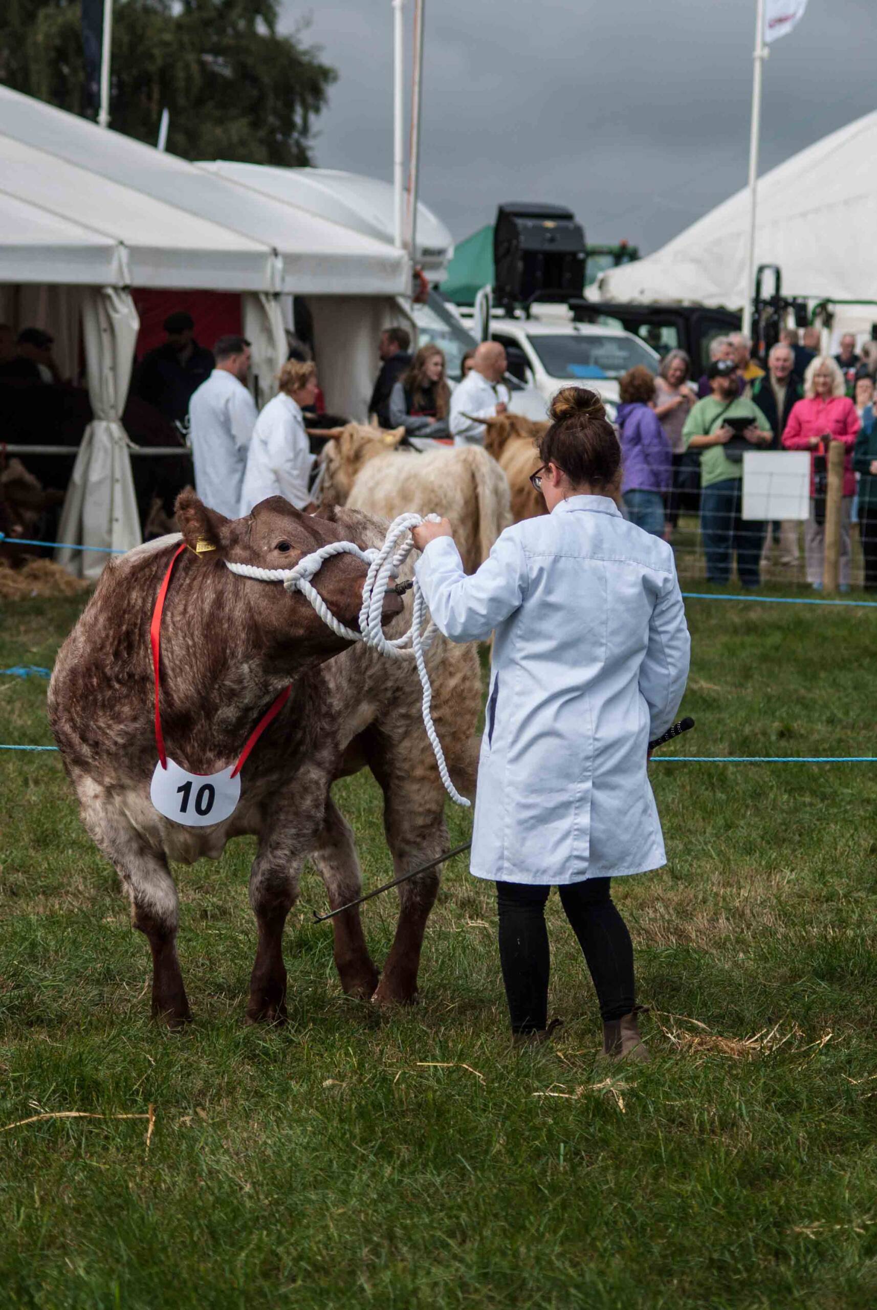 Gallery - Penistone Agricultural Show