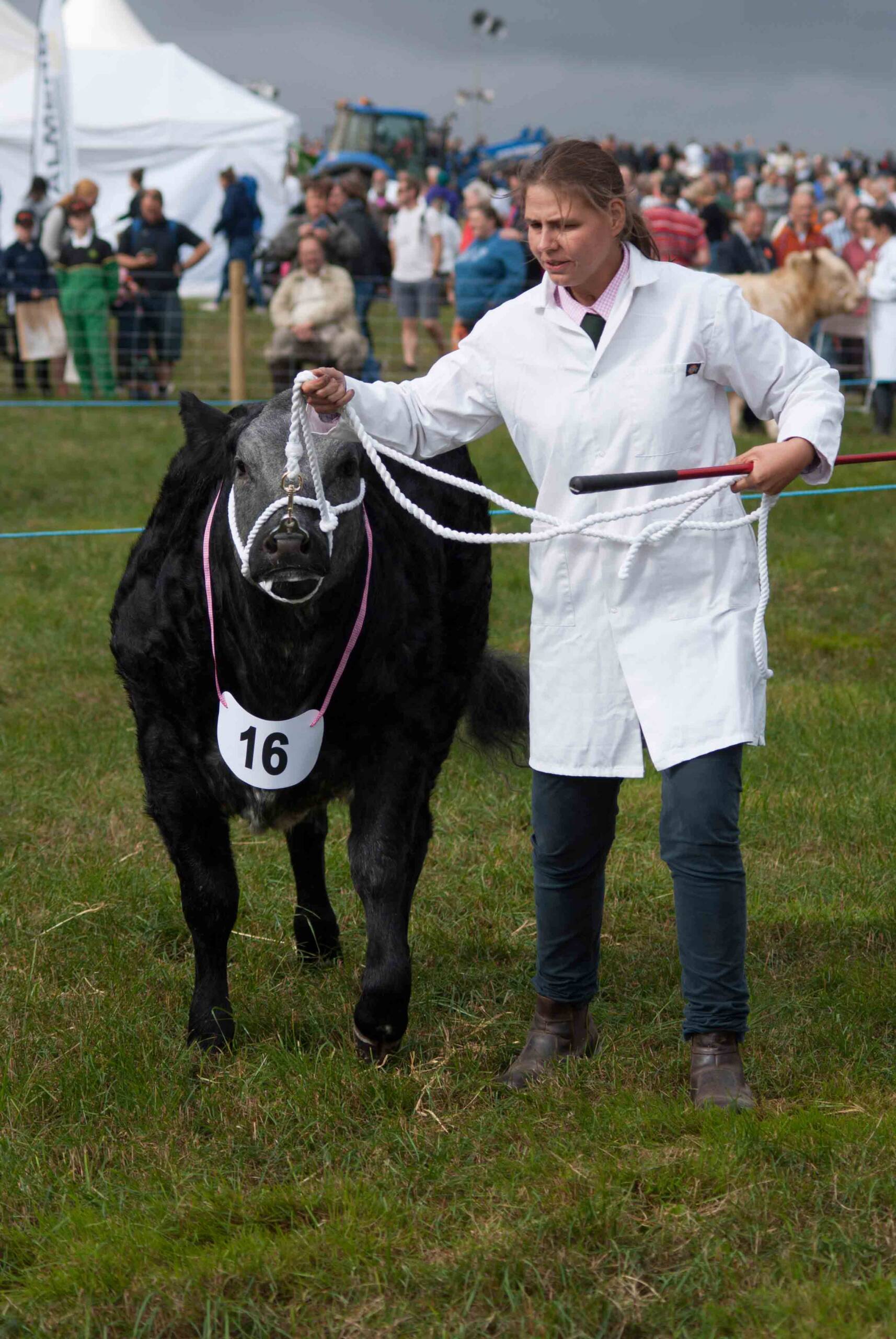 Gallery - Penistone Agricultural Show