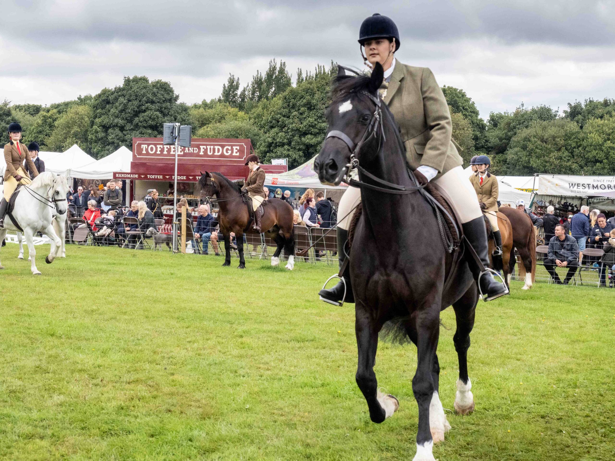 Gallery - Penistone Agricultural Show